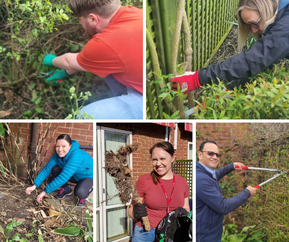 LOROS Garden Tidy Up – Burton McCall